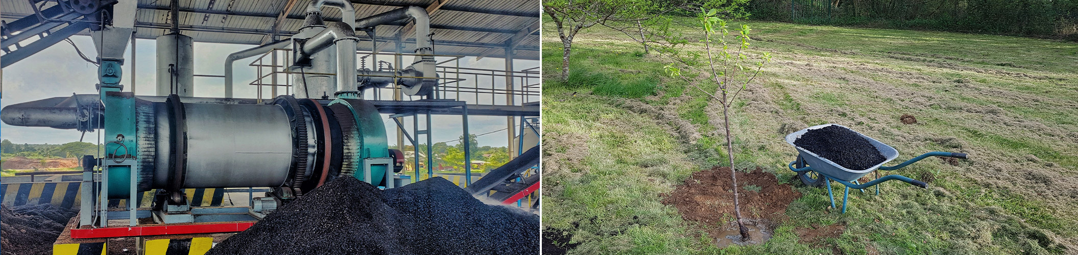 O que é biochar ou biocarvão e para que serve? Florestas